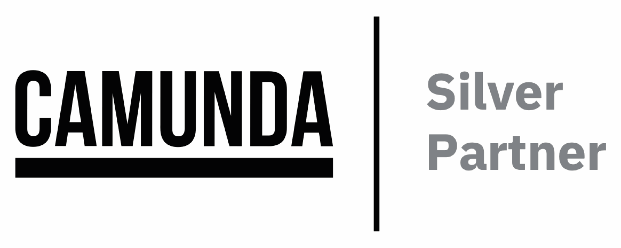 Partner-Camunda - best-blu
